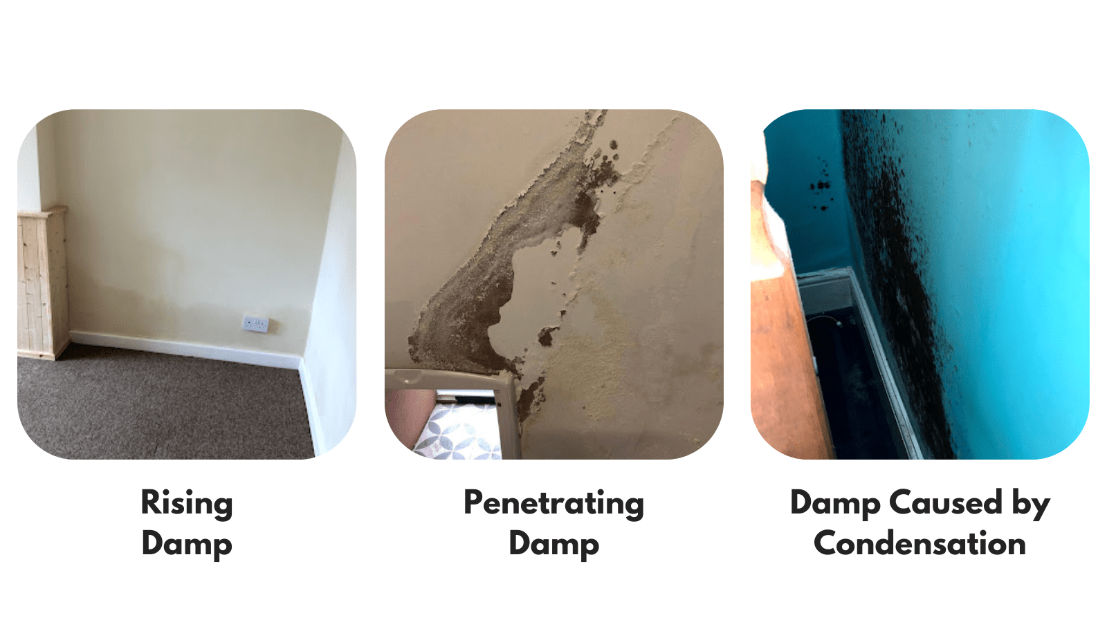Damp: Identifying & Preventing Damp in your Property