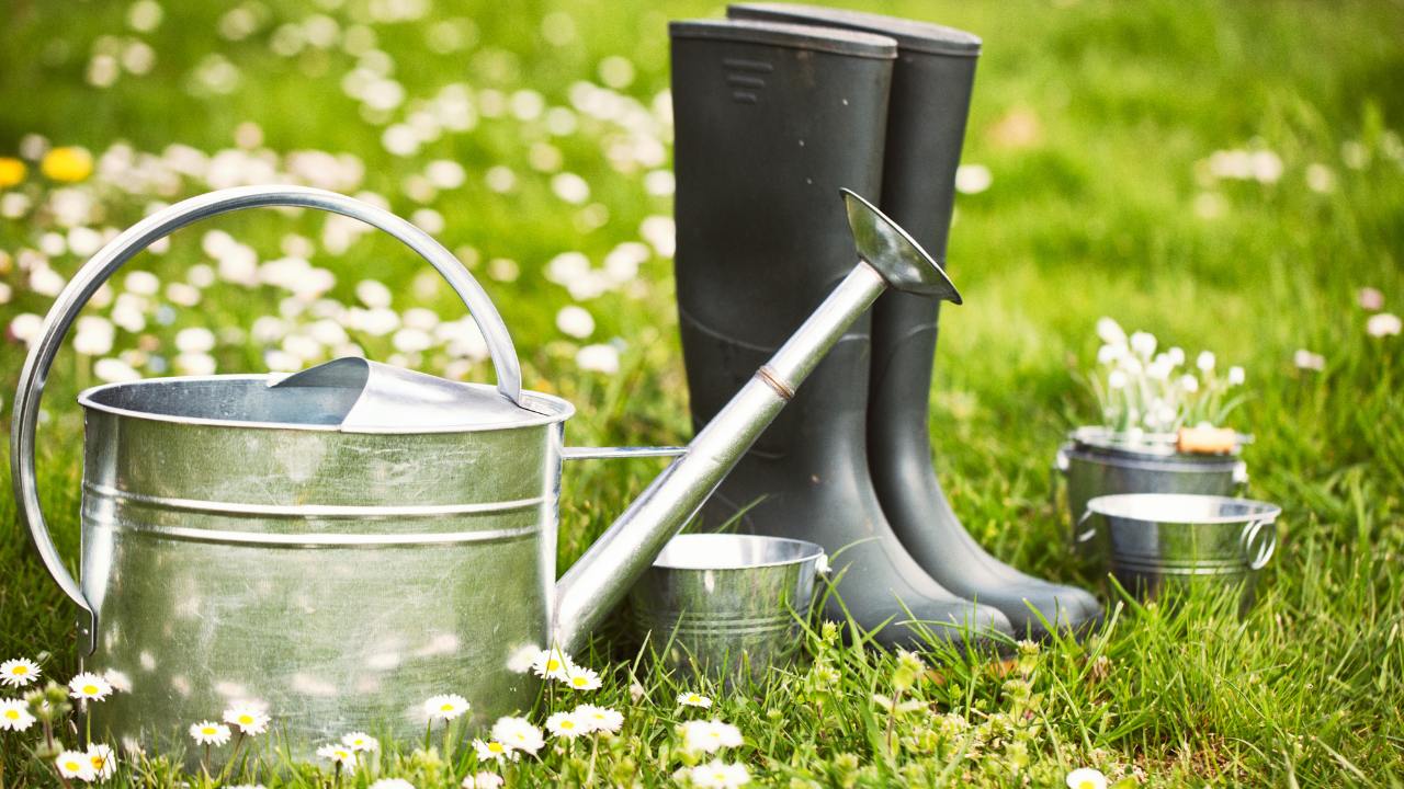 Preparing Your Garden for Spring: Top 10 Tips from BNS